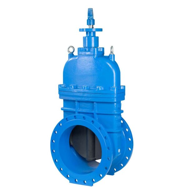 RSGV DN350-D600 - ISO Top and Bypass